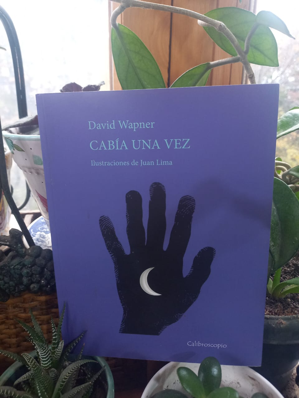 Recomendaciones Literarias «Cabía una vez»